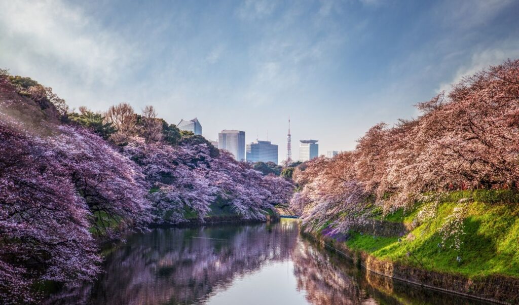 15 Best Parks In Tokyo