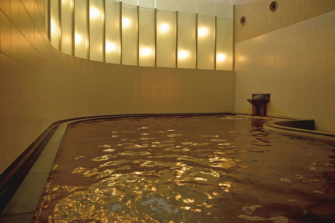 The Prince Park Tower Tokyo