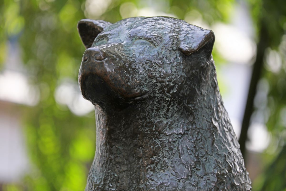 Hachiko Statue: The Loyal Dog Of Shibuya