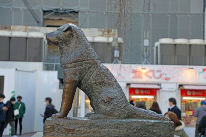 Hachiko Statue: The Loyal Dog Of Shibuya