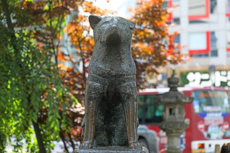 Hachiko Statue: The Loyal Dog Of Shibuya