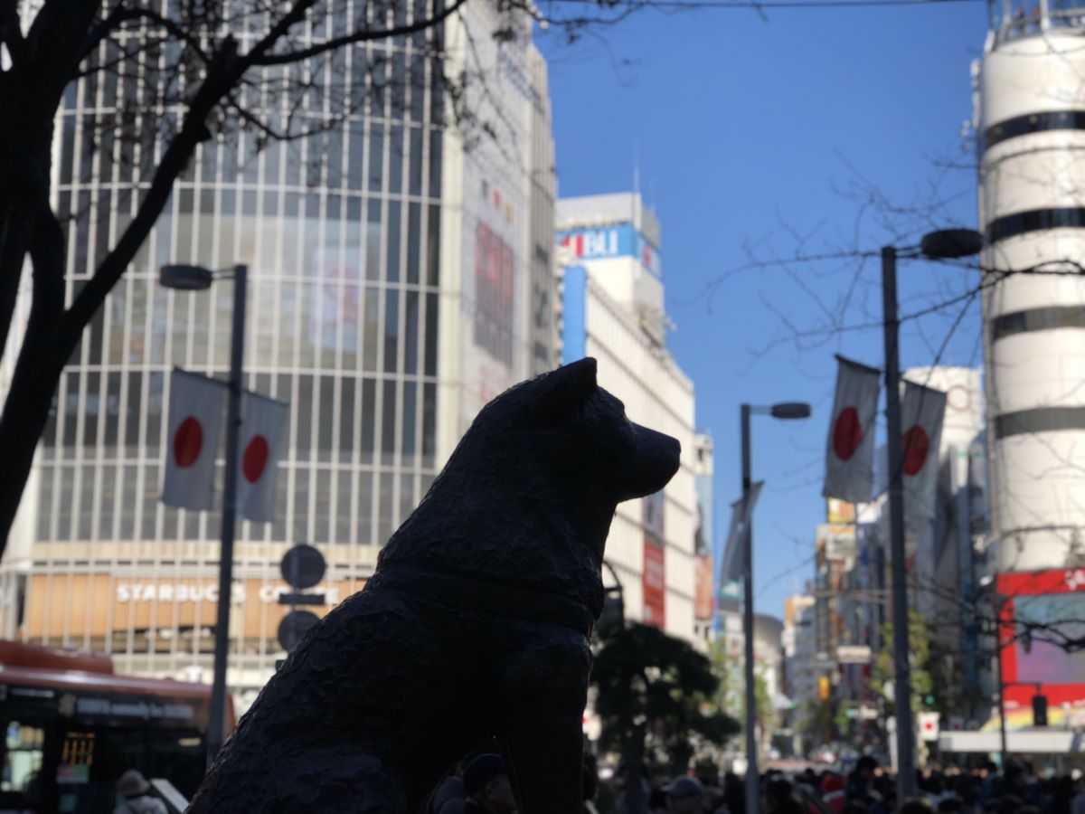 Hachiko Statue: The Loyal Dog Of Shibuya