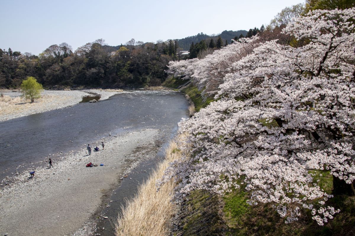 Kamanofuchi Park