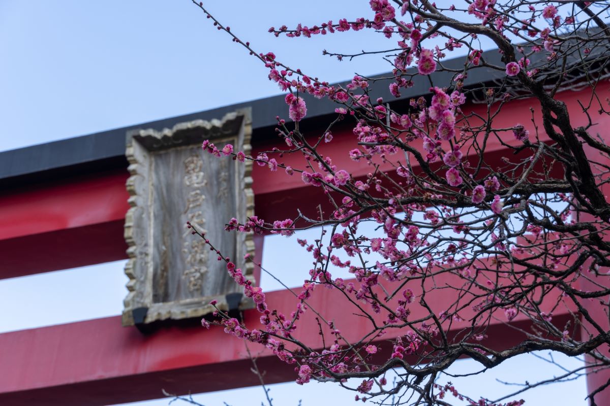 Kameido Tenjin Shrine