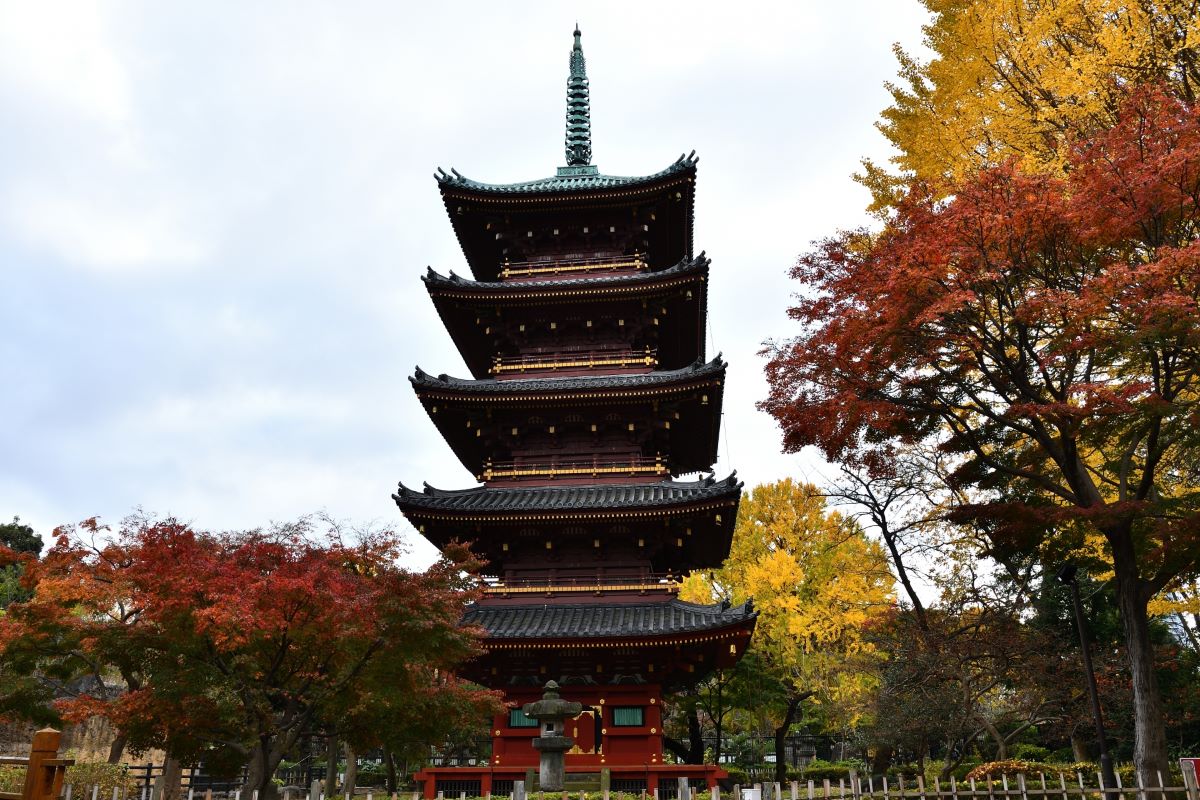 Kaneiji Temple & It's Pagoda And Garden In Ueno Park