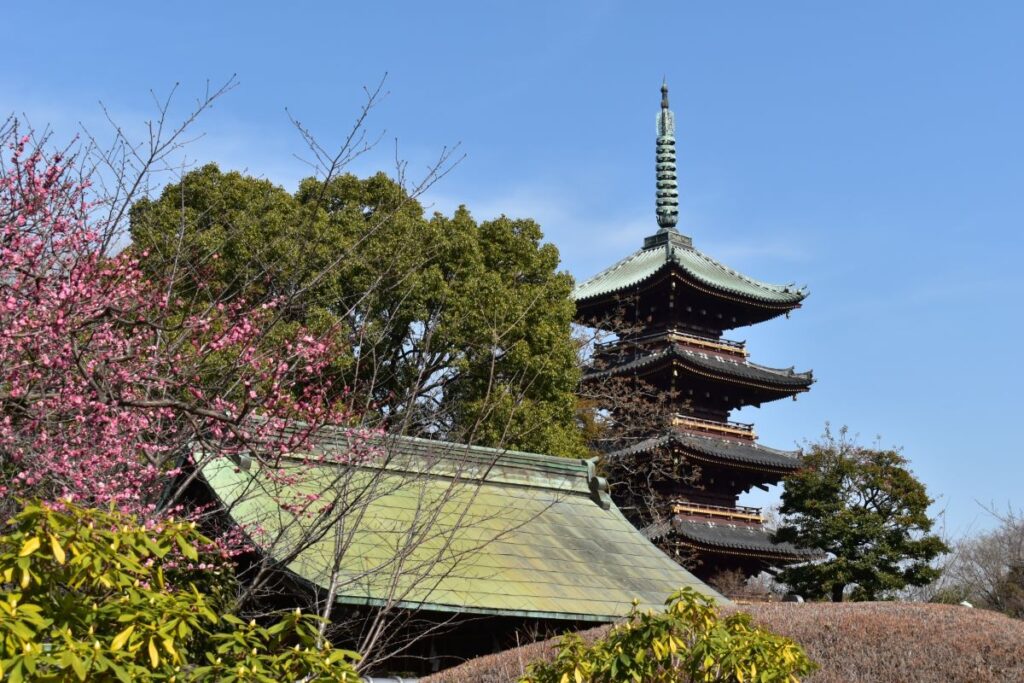 Kaneiji Temple & It's Pagoda And Garden In Ueno Park