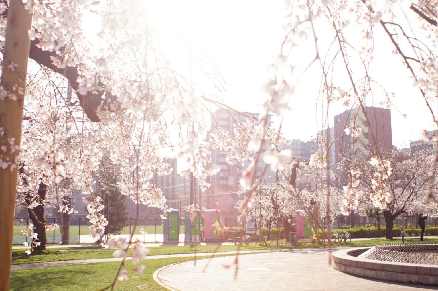 Kinshi Park (Sumida)
