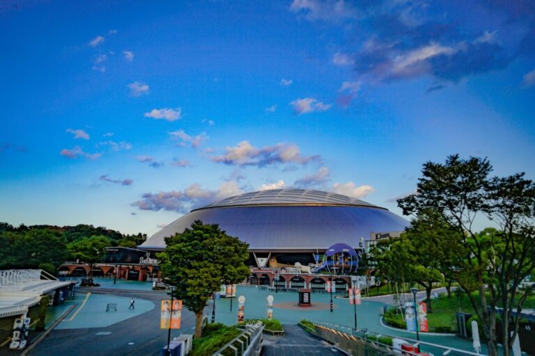 Belluna Dome (Metlife Dome) Baseball Stadium