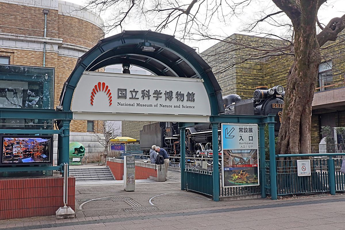 National Museum of Nature and Science