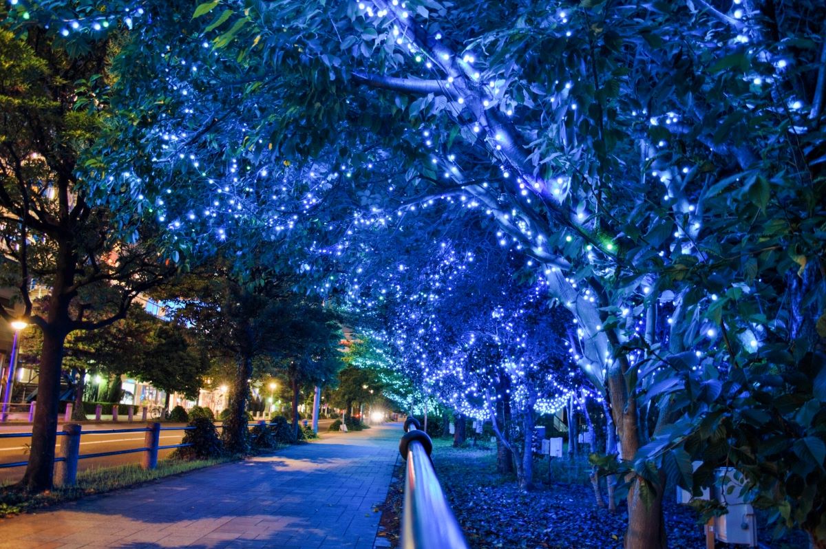 Odaiba Beach & Seaside Park Guide