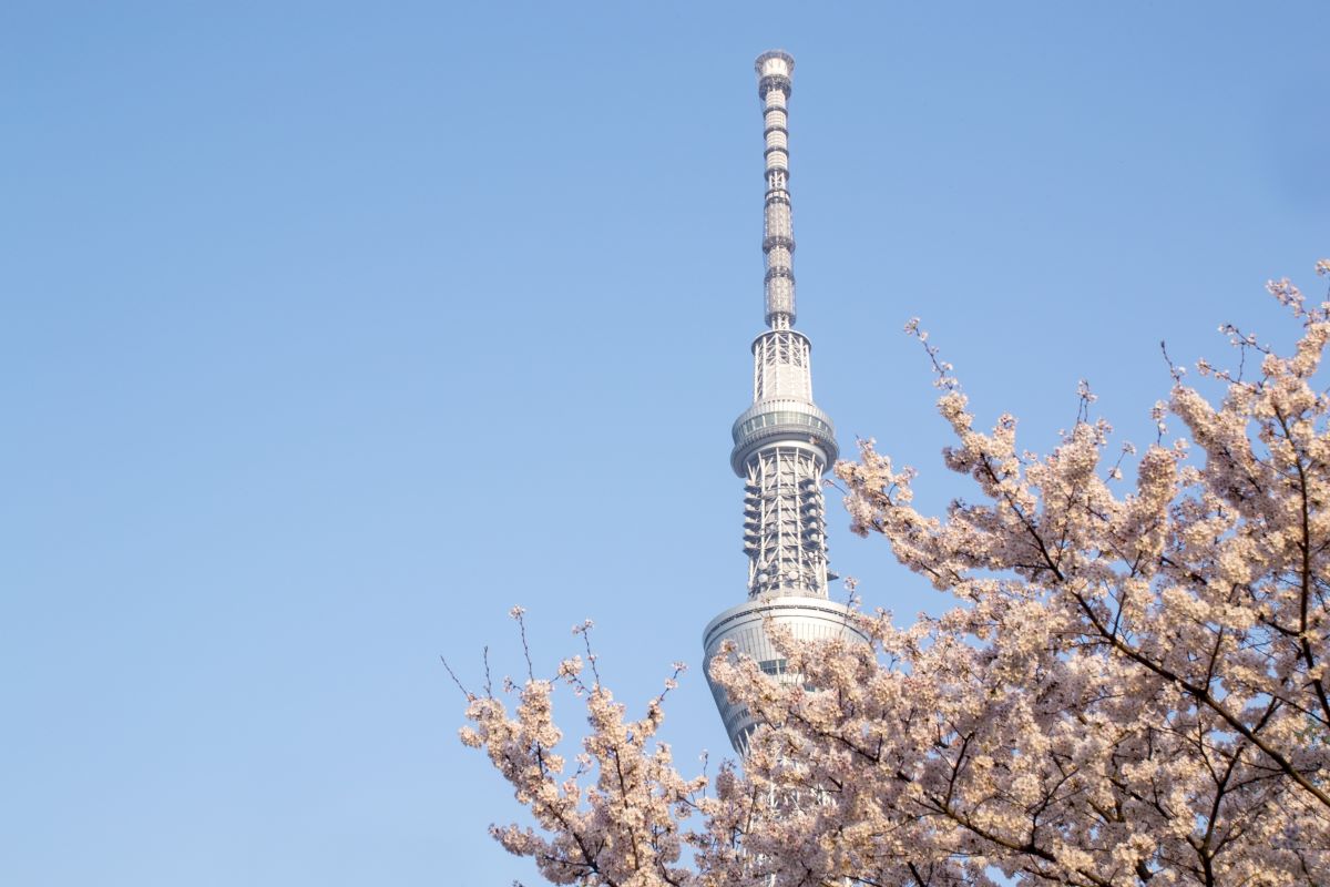 Geography of Tokyo