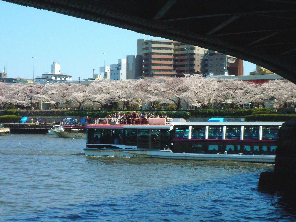 Boat Cruises Between Asakusa and Odaiba