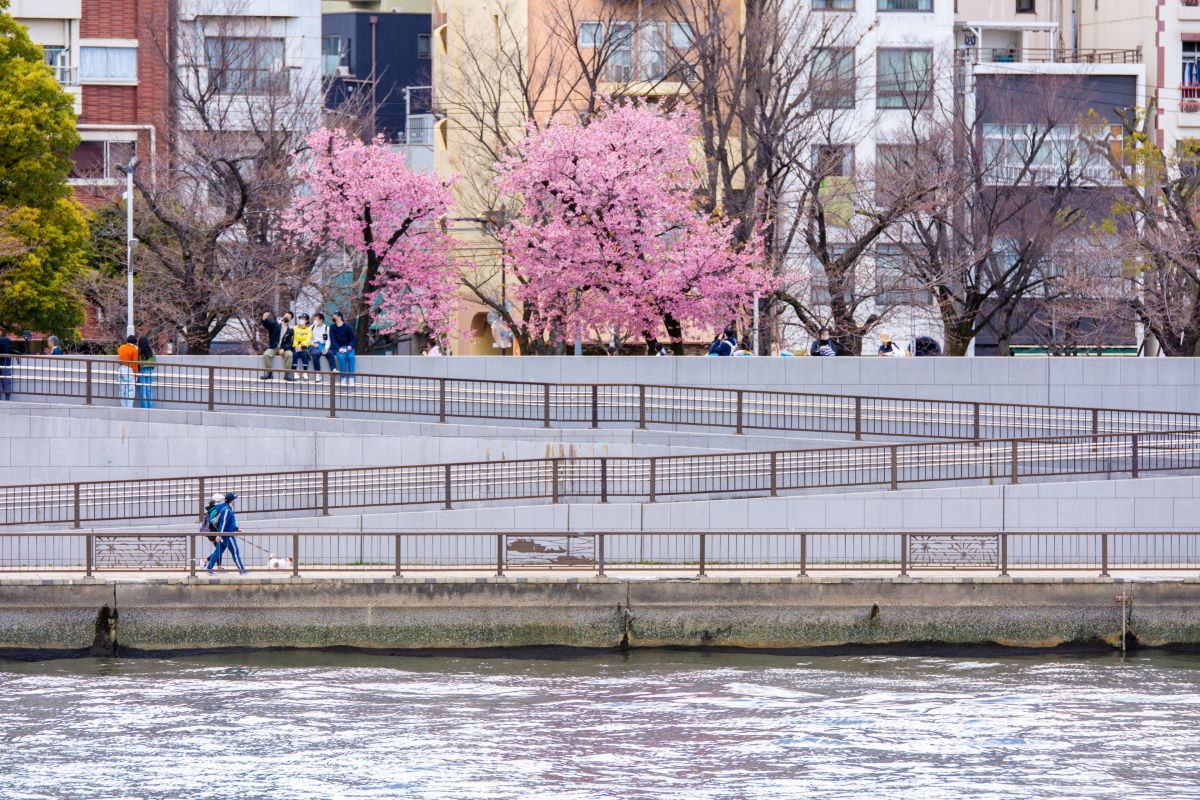 Sumida River Terrace