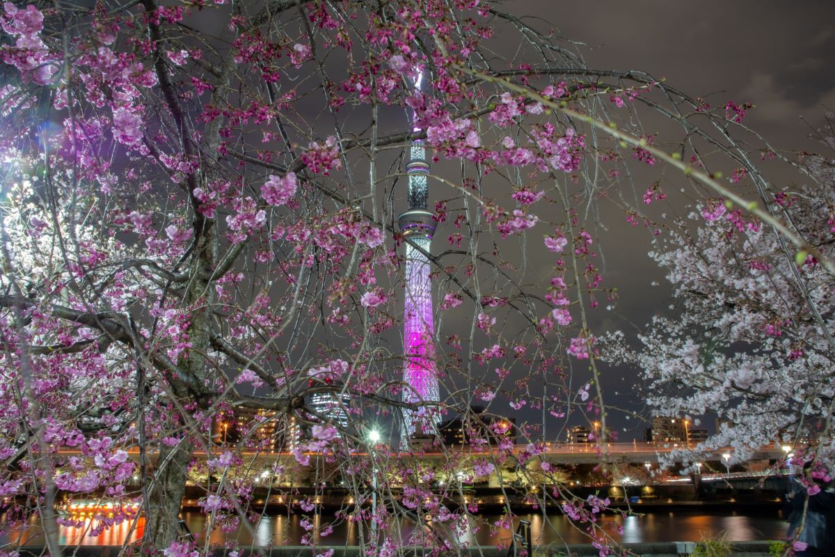Sumida River Terrace