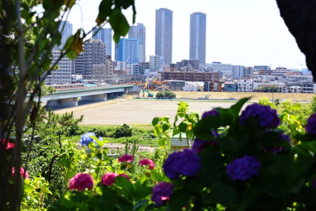 Tamagawadai Park