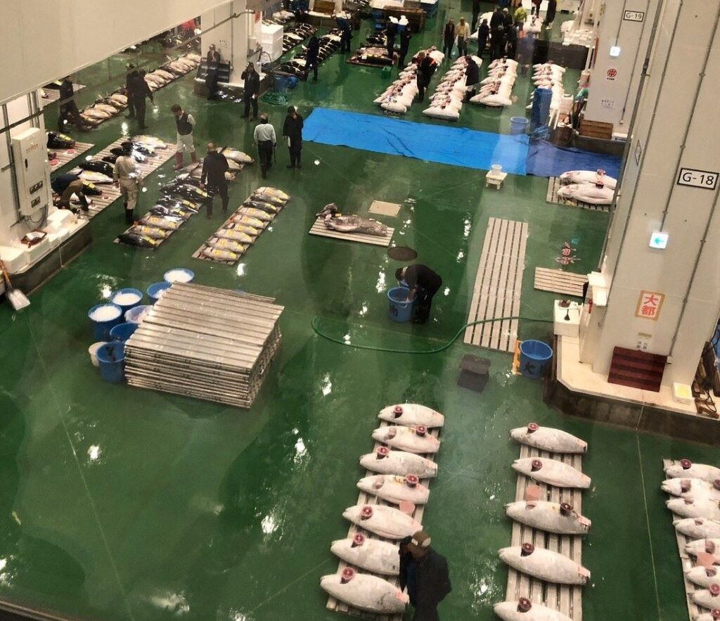 Toyosu Fish Market: Tours, Restaurants & The Tuna Auction