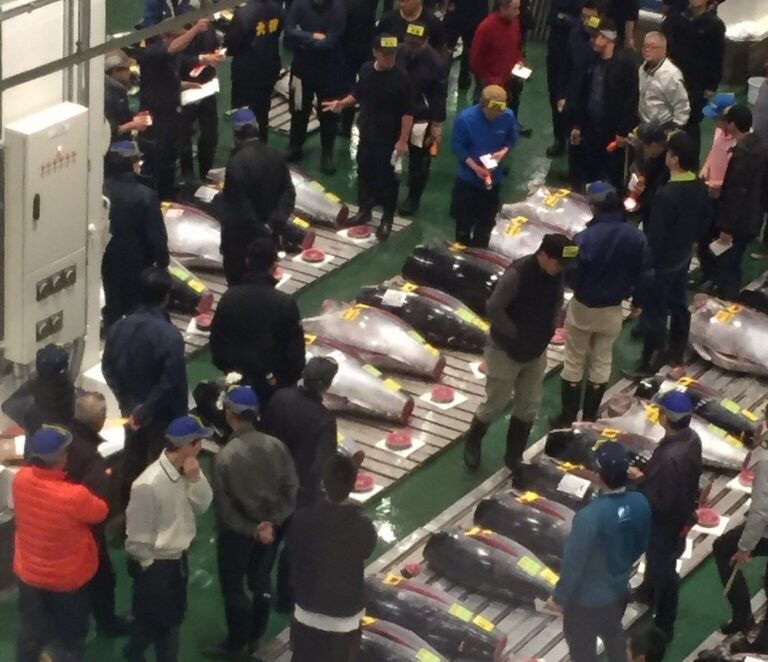 Toyosu Fish Market: Tours, Restaurants & The Tuna Auction