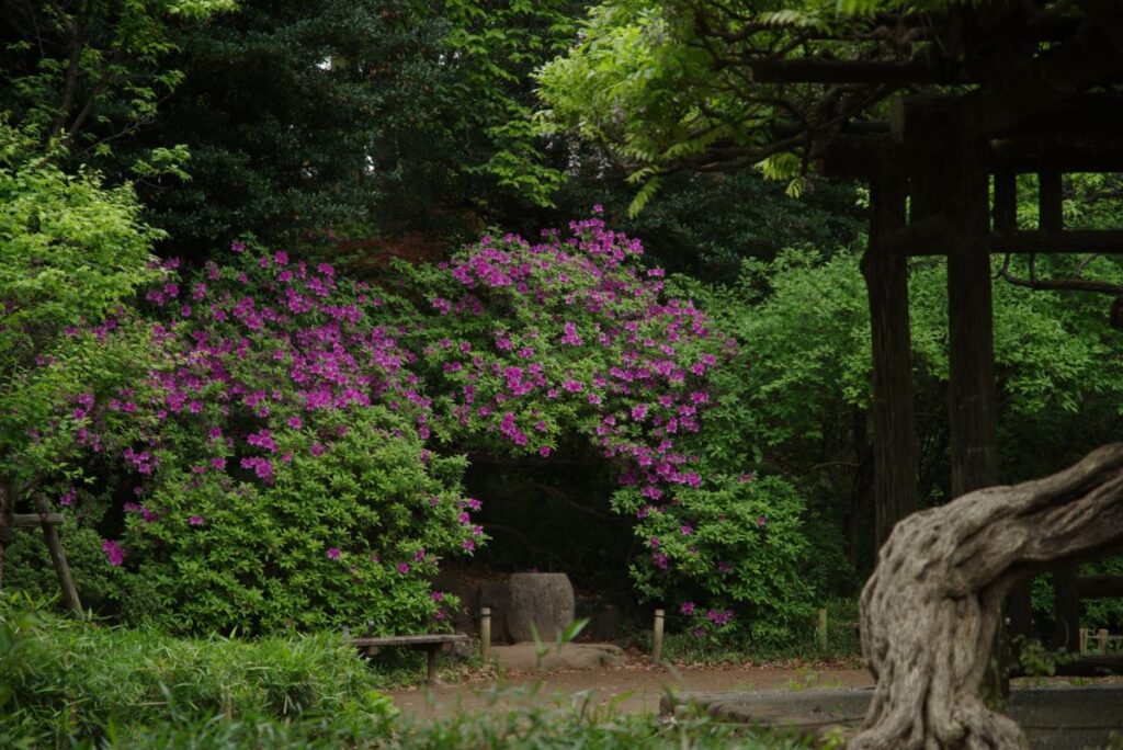 Arisugawa-no-Miya Memorial Park