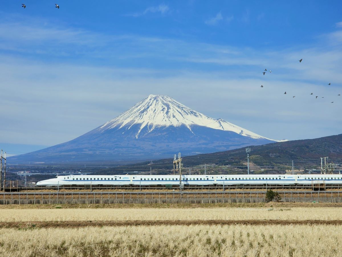 How To Travel From Tokyo To Nagoya